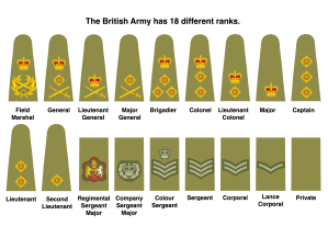 Do we need to simplify the rank structures of UK Armed Forces? – UK ...
