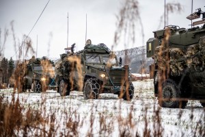 Achieving A Common Size and Structure for UK Infantry Battalions – UK ...