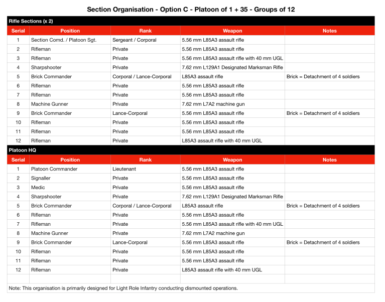 Achieving A Common Size and Structure for UK Infantry Battalions – UK ...